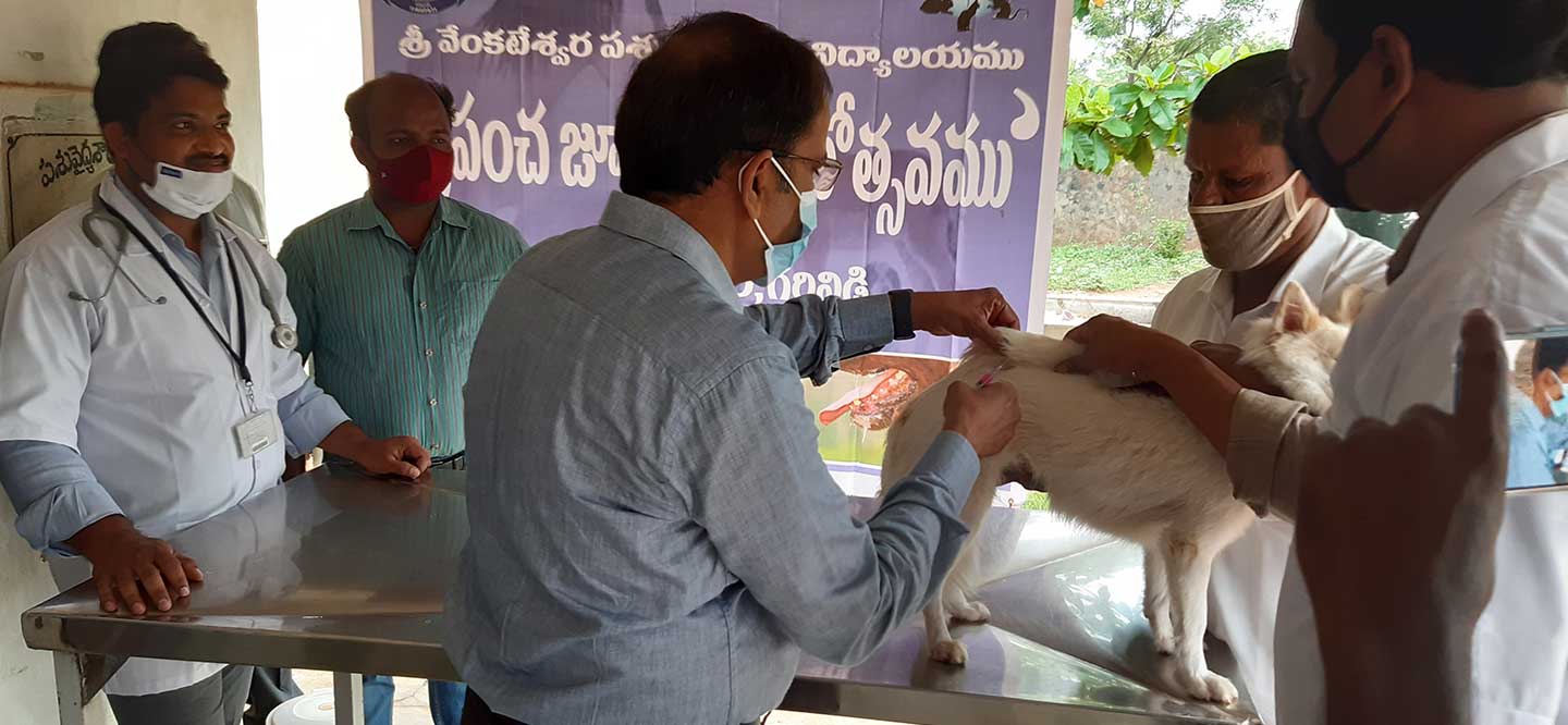 గరివిడిలోని వెటర్నరీ కాలేజ్‌కి శాశ్వత సభ్యత్వం – Nijam Today